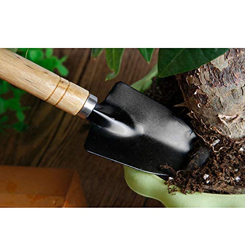 Diligent Farmer Mini Garden Tool Set, 3 Piece Hand Suit Small Shovel/Rake/Spade Ideal for Men and Women