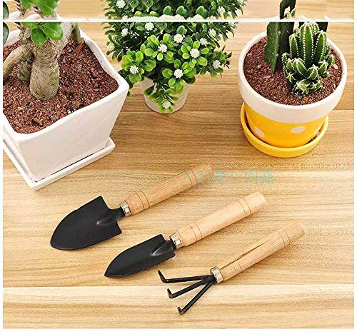 Diligent Farmer Mini Garden Tool Set, 3 Piece Hand Suit Small Shovel/Rake/Spade Ideal for Men and Women