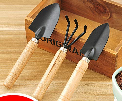 Diligent Farmer Mini Garden Tool Set, 3 Piece Hand Suit Small Shovel/Rake/Spade Ideal for Men and Women