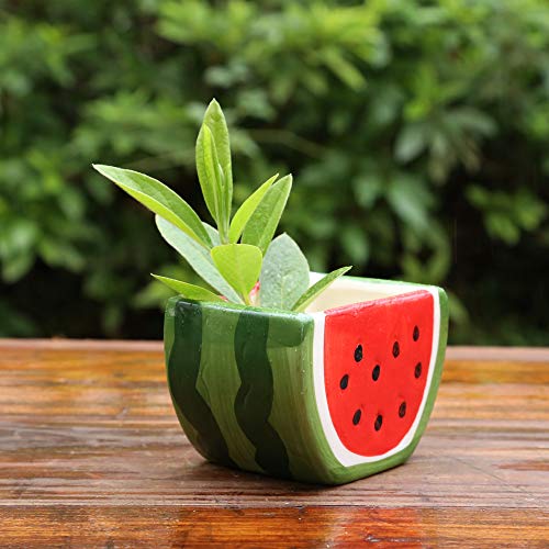 WAIT FLY Set of 3 Cute Watermelon Shape Ceramics Planters Gardening Pots Decoration for Cactus Succulent Flower Decoration for Home Garden