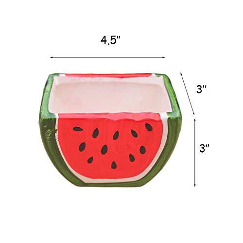 WAIT FLY Set of 3 Cute Watermelon Shape Ceramics Planters Gardening Pots Decoration for Cactus Succulent Flower Decoration for Home Garden