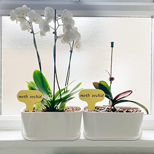 Torfican 5 Set Window Herb Planter Box Rectangular,8.5x3.5 Inch White Plastic Planters with Multiple Drainage Holes and Trays,Indoor Succulent Cactus Mint Flower Pot for Windowsill,Garden Balcony