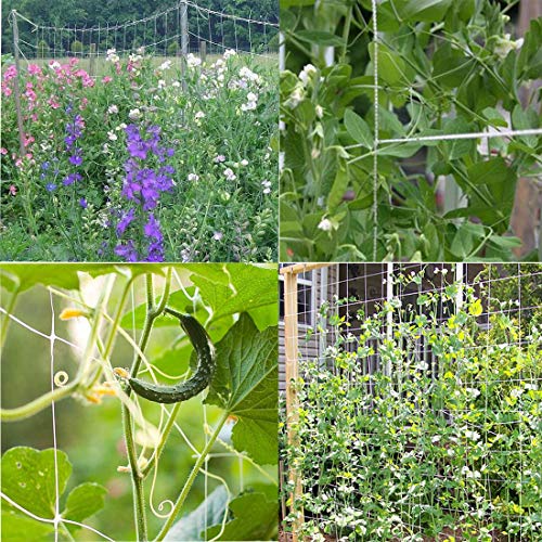 EAPFCT Trellis Netting 5x30ft 2 Pack Heavy-Duty Polyester Plant Support Trellis Net for Climbing Plants Garden Trellis Netting 6'' Mesh with Garden Ties