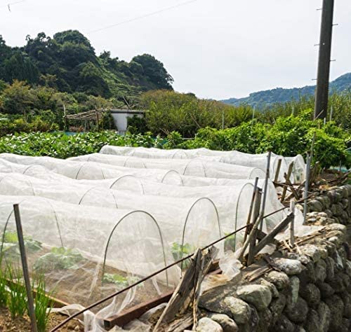 Garden Insect Netting Pest Barrier: 2 Pack 4'x10' Bug Netting for Garden Protection Mosquito Net Fine Mesh Cicada Tree Net Greenhouse Row Cover for Crops Plants Vegetables Flowers Fruits Silver