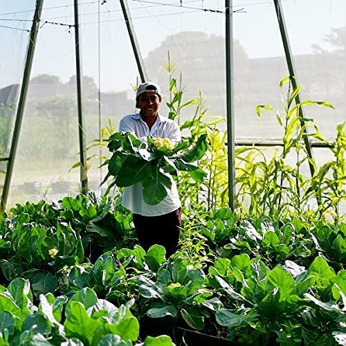 Garden Insect Netting Pest Barrier: 2 Pack 4'x10' Bug Netting for Garden Protection Mosquito Net Fine Mesh Cicada Tree Net Greenhouse Row Cover for Crops Plants Vegetables Flowers Fruits Silver