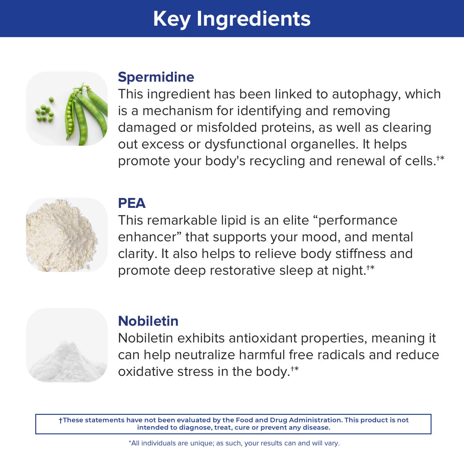 Gundry MD® Bio Sync Supplement for Daytime Energy, Supports Focus and Memory†* - (30 Servings)