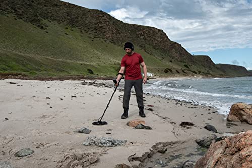 Minelab Equinox 900 Metal Detector with EQX 11β Double-D Coil and EQX 6β Double-D Coil