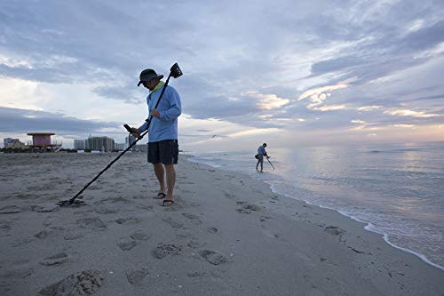 Minelab Equinox 800 Metal Detector with EQX 11β Double-D Waterproof Coil