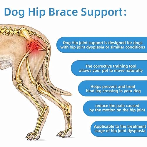 Adjustable Luxating Patella Brace for Dogs-Comfortable Knee Support for Joint Pain Relief,Suitable for Small,Medium,and Large Dogs(M)