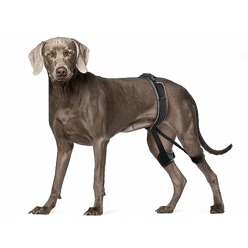 Adjustable Luxating Patella Brace for Dogs-Comfortable Knee Support for Joint Pain Relief,Suitable for Small,Medium,and Large Dogs(M)