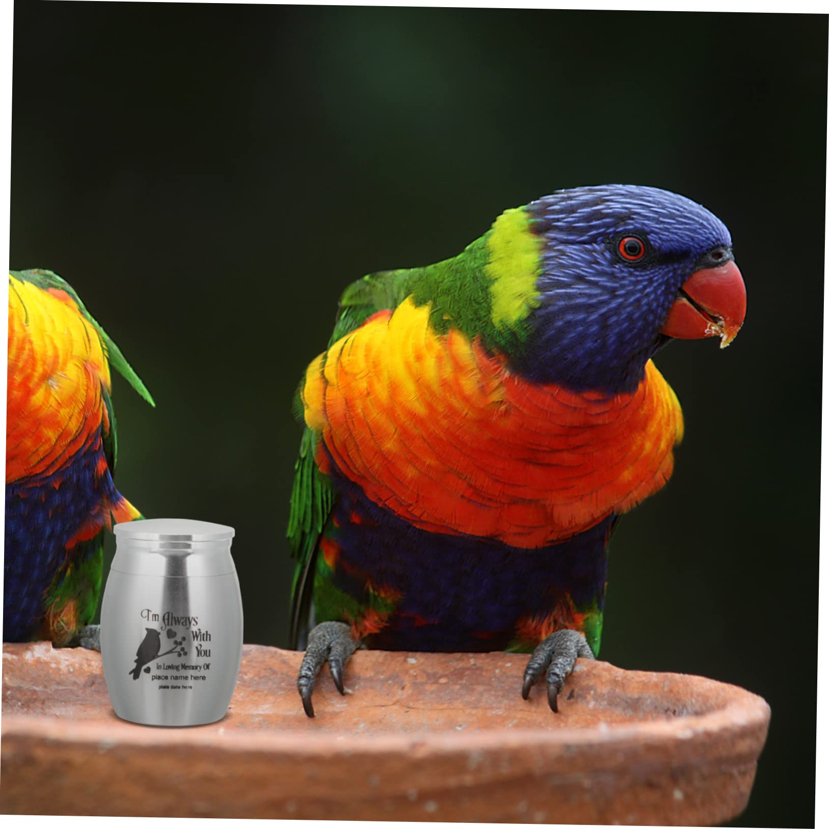 2pcs Funeral Ashes Urn Ashes Urn for Animal Cinerary Casket for Pet Ashes Urn for Pet Dog Cinerary Casket Cat Ashes Urn Keepsake Ashes Urn Cinerary Casket for Animal Bird Urn