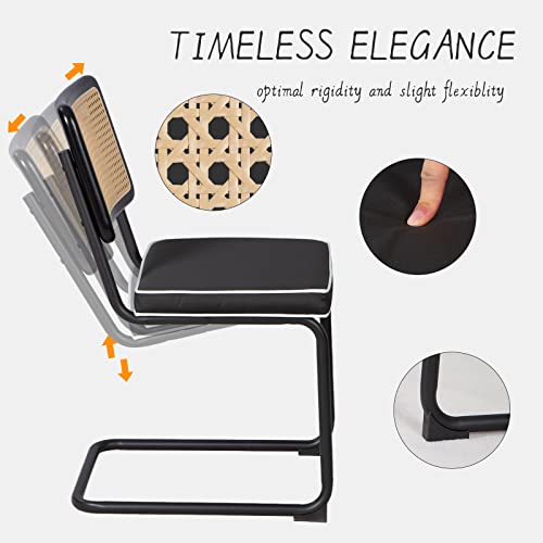 MeetLeisure Patio Dining Chair Set of 2 with Waterproof Design Fabric for Outdoor Mid-Century Modern Chairs with Metal Chrome Legs, Armless Mesh Back Cane Chairs, Black