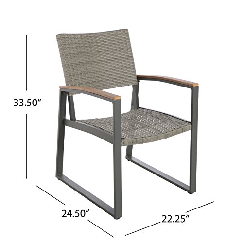 Christopher Knight Home Aubrey Outdoor Dining Chairs (Set of 2), Gray