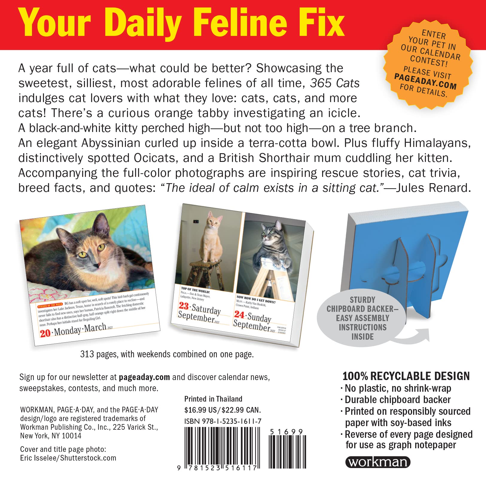 365 Cats Page-A-Day Calendar 2023: The World's Favorite Cat Calendar