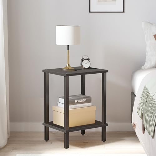 BEEWOOT End Table, Side Table, Nightstand, 2-Tier Storage Shelf, Sofa Table for Small Space, Living Room, Bed Room BETB01BK034