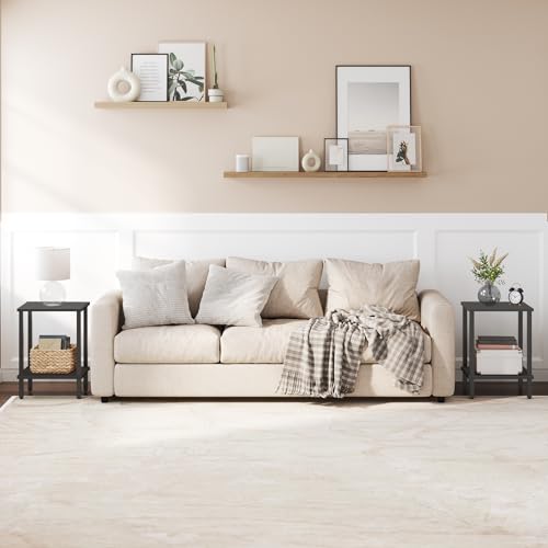 BEEWOOT End Table, Side Table, Nightstand, 2-Tier Storage Shelf, Sofa Table for Small Space, Living Room, Bed Room BETB01BK034