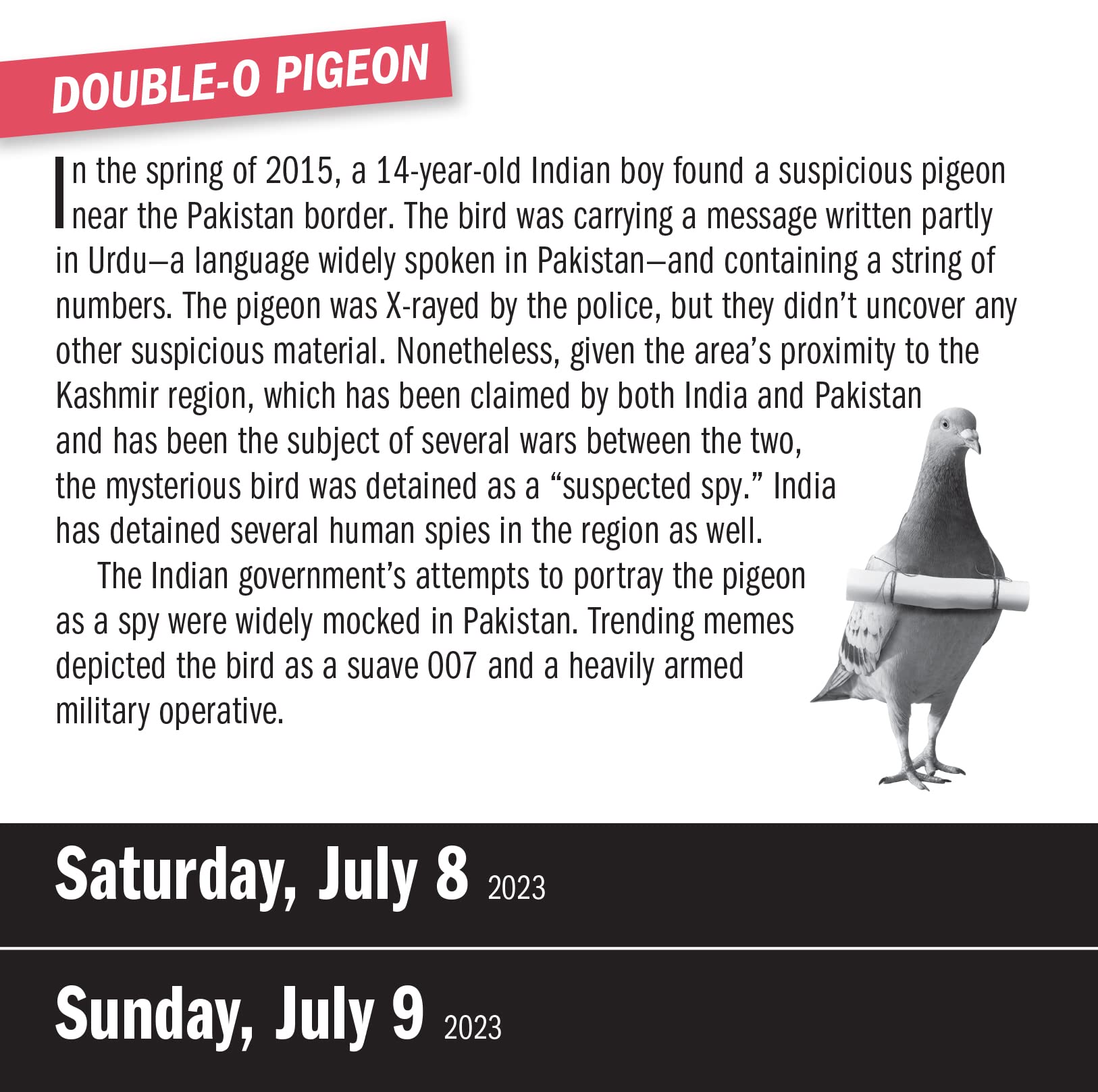A Year of True Crime Page-A-Day Calendar 2023: Cannibal Cooks, Killer Kids, Incredible Survivors!