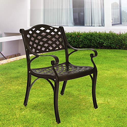 Puluomis Outdoor Patio Retro Bistro Cast Aluminum Dining Chairs, 2 Sets