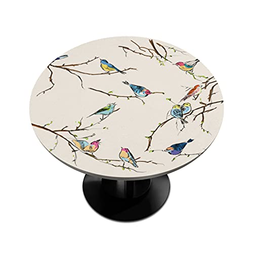 Little Birds Round Tablecloths Bird on Branches Tablecloths for Circular Tables Round Fitted Polyester Tablecover with Elastic for Kitchen/Dining/Party Indoor and Outdoor Use Machine Washable 36"- 42"
