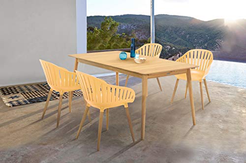 Armen Living Nassau Outdoor Patio Arm Dining Chairs, 17" Seat Height, Set of 2, Eucalyptus and Honey Yellow
