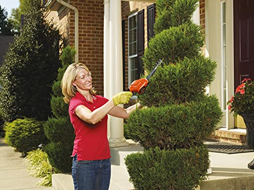 BLACK+DECKER Shrub Trimmer/Grass Shear Combo, Cordless, 3.6V (GSL35)