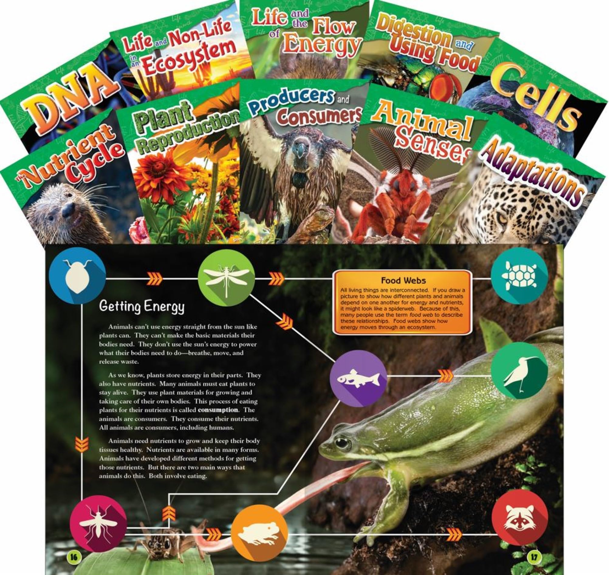 Teacher Created Materials - Science Readers: Content and Literacy: Let's Explore Life Science - 10 Book Set - Grades 4-5