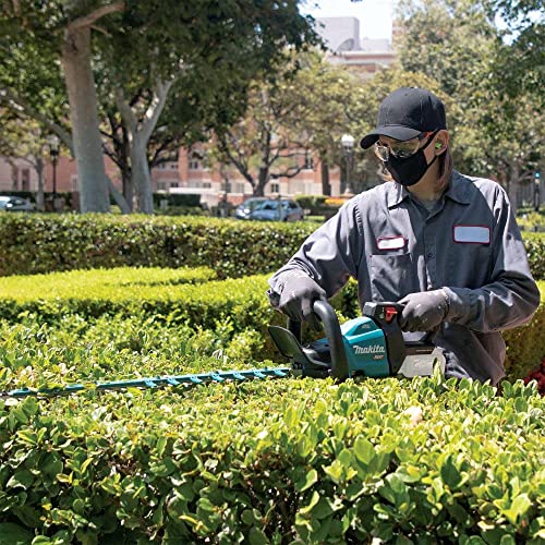 40V max XGT® Brushless Cordless 30" Hedge Trimmer, Tool Only