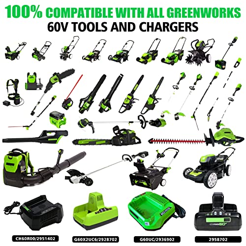 【Upgrade】 DSANKE 60V 5.0Ah Lithium Ion Replacement Battery for Greenworks Pro 60V Battery LB60A03 LB60A02 LB60A00 Cordless Power Tool Battery