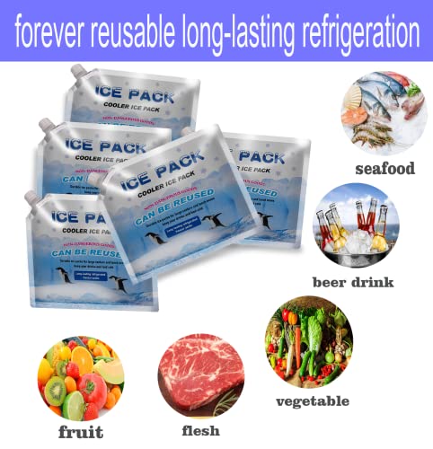 HenryDa 6 Pieces Reusable ice Packs for Coolers,Long Lasting Cooler ice Pack, 24to 48 Hours of Cold Gel Ice Pack.Lunch Bag CoolerIt can Hold 1400-1600ml of Water