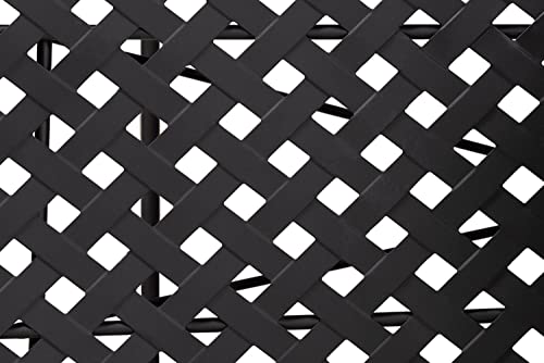 Baxton Studio Santina Black Metal Outdoor Dining Chair (Set of 2)