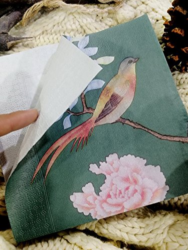 ALINK Vintage Paper Napkins, Bird Design DecoupageLuncheon Tea Party Napkins, 20 Count 2-Ply, 13 x 13 Inch