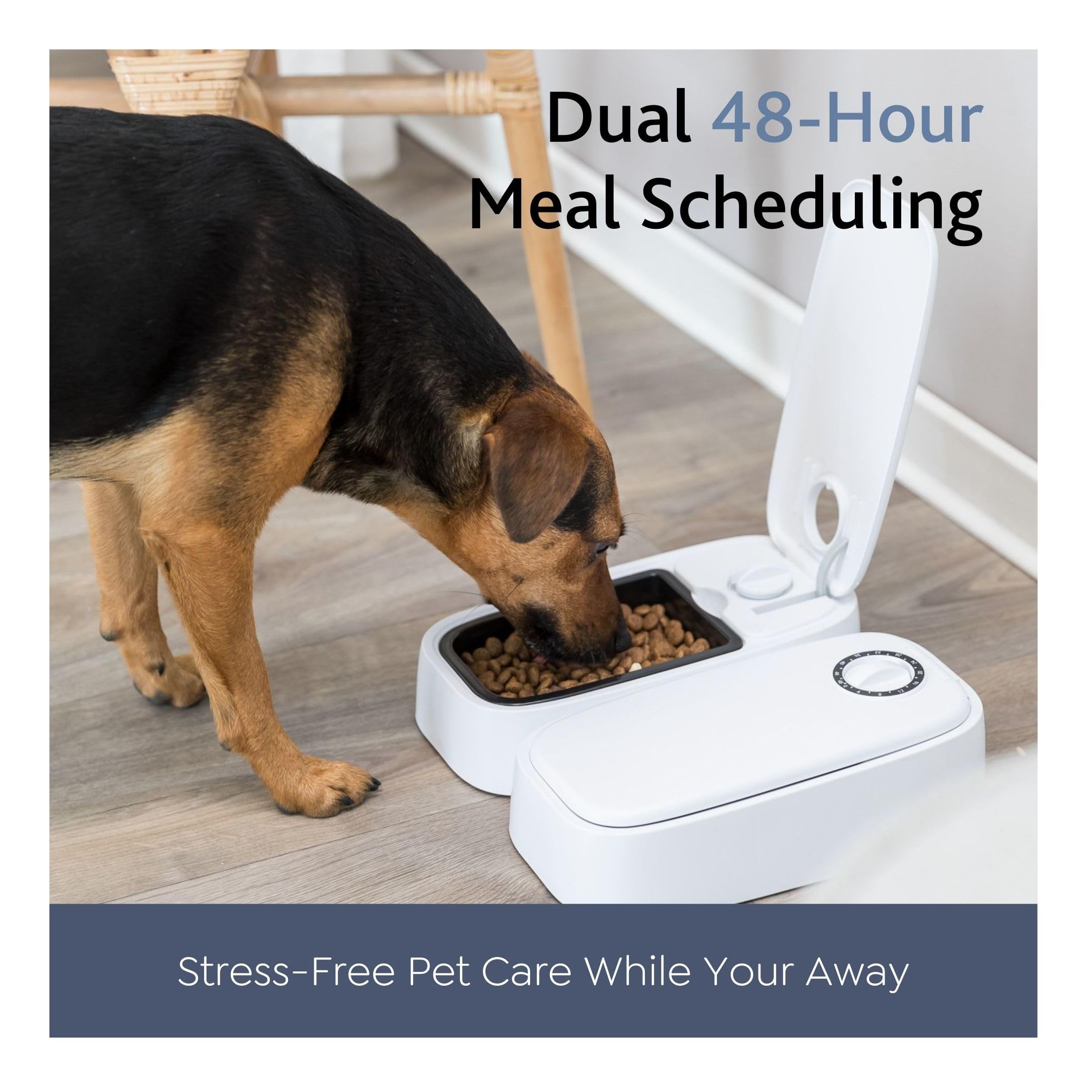 TRIXIE TX2 Automatic Food Dispenser, Dual Compartments, Dual Timer, 48 Hour Timer, Battery Operated, Gray with Black (24372)