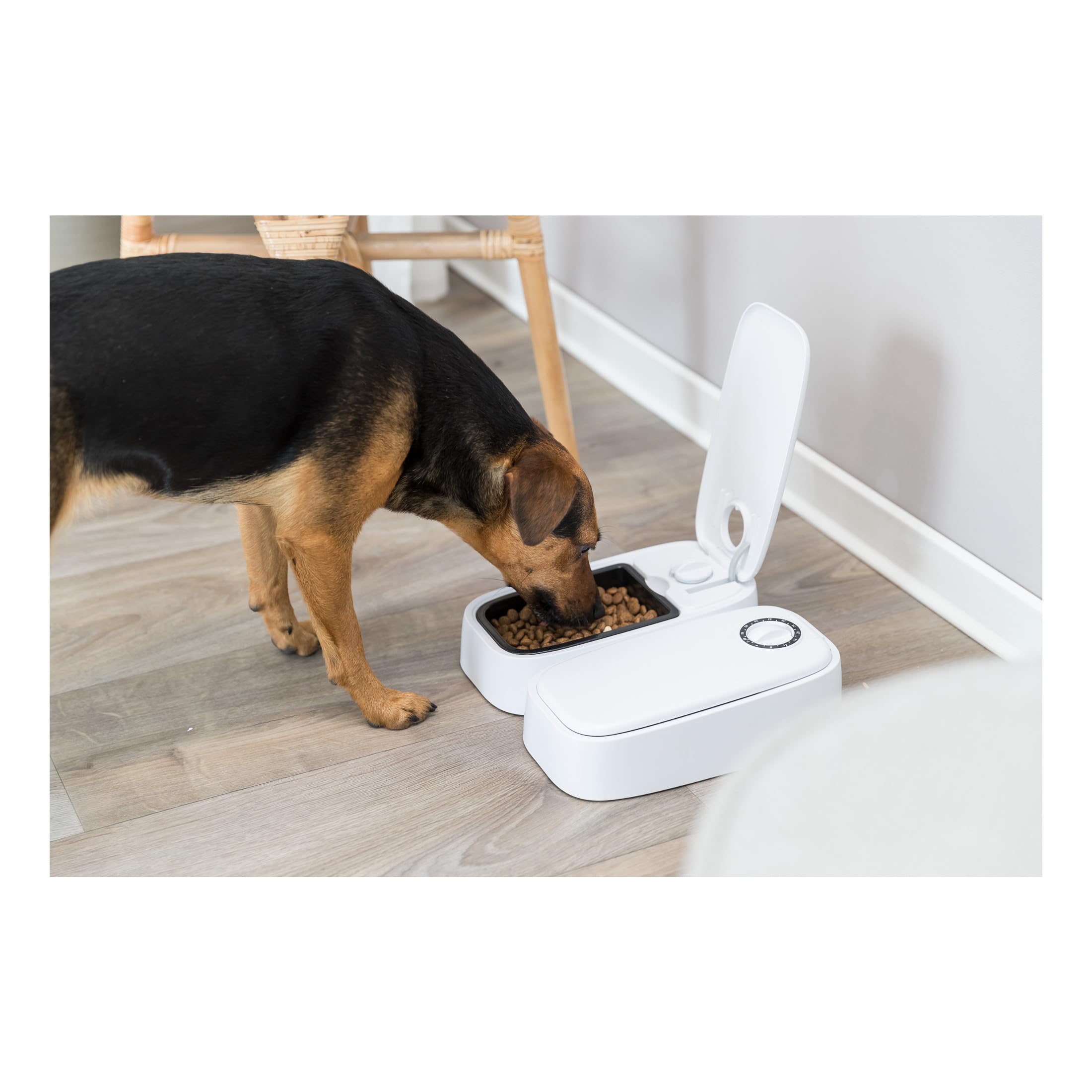 TRIXIE TX2 Automatic Food Dispenser, Dual Compartments, Dual Timer, 48 Hour Timer, Battery Operated, Gray with Black (24372)