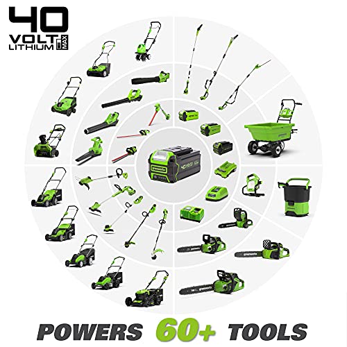 Greenworks 40V 8-inch Cordless Pole Saw with Hedge Trimmer Attachment 2.0Ah Battery and Charger Included, PSPH40B210