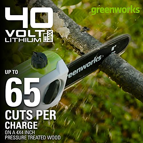 Greenworks 40V 8-inch Cordless Pole Saw with Hedge Trimmer Attachment 2.0Ah Battery and Charger Included, PSPH40B210