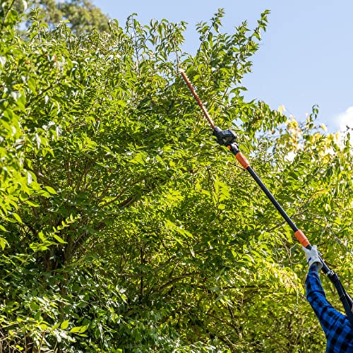 Scotts LPHT12122S 20-Volt 22-Inch Cordless Pole Hedge Trimmer, 2.0Ah Battery and Fast Charger Included