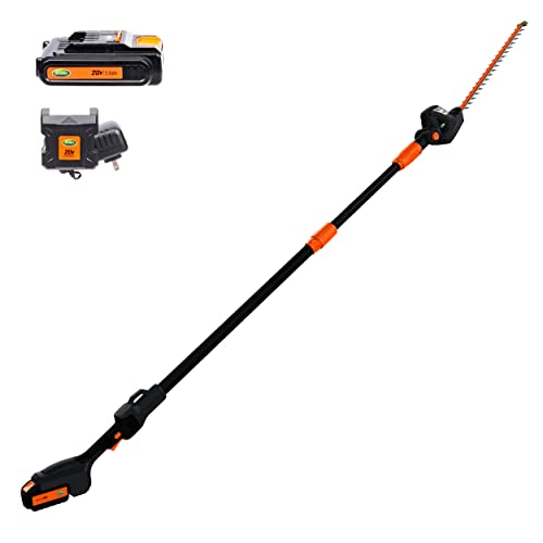 Scotts LPHT12122S 20-Volt 22-Inch Cordless Pole Hedge Trimmer, 2.0Ah Battery and Fast Charger Included