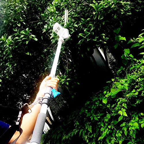 40V Cordless Pole Hedge Trimmer Long Reach 20" Cutting Length 6 Position Adjustable Head with Battery and Charger