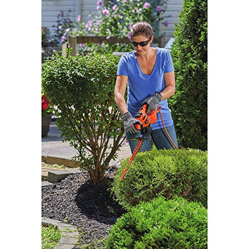 BLACK+DECKER Hedge Trimmer with Safety Eyewear, Lightweight, Clear Lens (BEHT100 & BD250-1C)