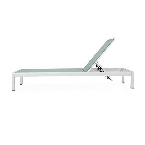Christopher Knight Home Vanessa Coral Outdoor Chaise Lounges (Set of 2), Green and White