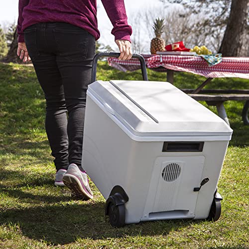 Koolatron Thermoelectric Iceless 12V Cooler/Warmer 36 qt (34 L) w/Wheels, Portable Electric Rolling Car Fridge w/ 12 Volt DC Power Cord, Gray/White, Travel Road Trips Camping, Made in North America
