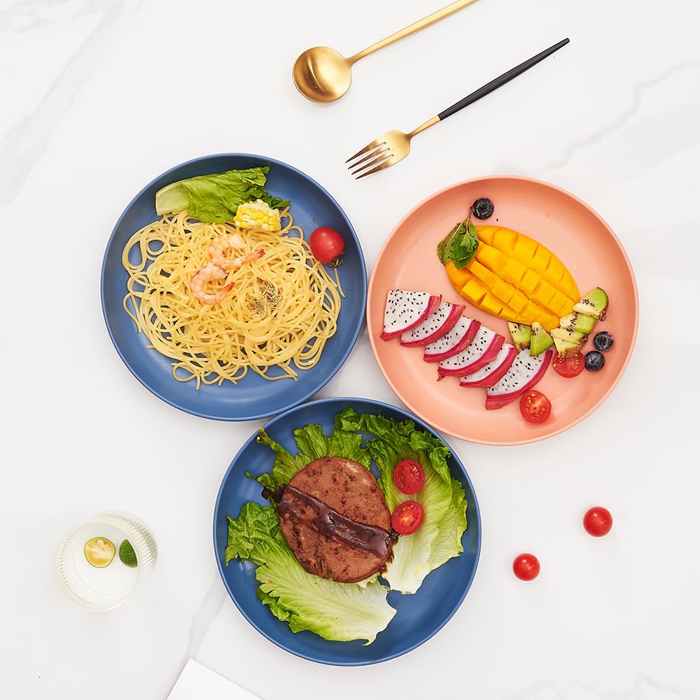 HXYPN 12 PACK 9 Inches Deep Dinner Plates Plastic Plates Reusable Unbreakable Kitchen Plate Sets Dishwasher and Microwave Safe Plates Wheat Straw Plates