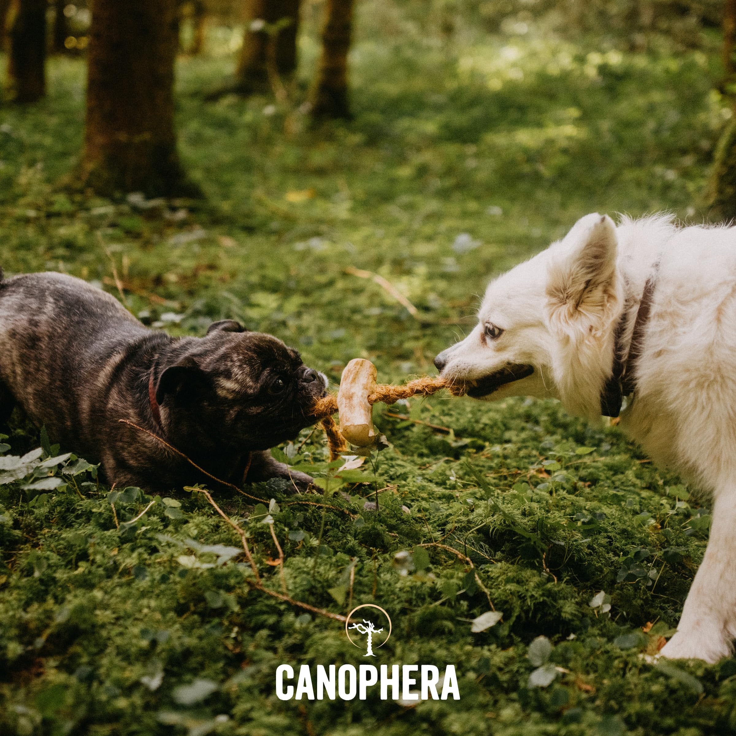 CANOPHERA Dog Chew Coffee Wood and Coconut Rope Toy for Healthy Teeth and Gums Size Small - All Dog Breeds