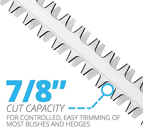 40V Cordless Pole Hedge Trimmer Long Reach 18" Cutting Length 6 Position Adjustable Head with 2Ah Battery and Charger