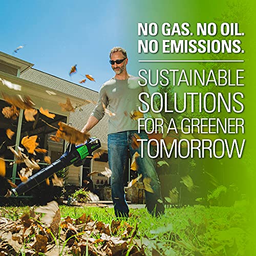 Greenworks Pro 80V (145 MPH / 580 CFM) Brushless Cordless Axial Leaf Blower, 2.5Ah Battery and Charger Included BL80L2510