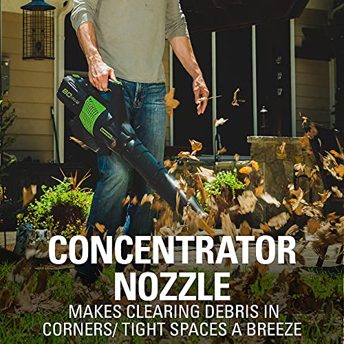 Greenworks Pro 80V (145 MPH / 580 CFM) Brushless Cordless Axial Leaf Blower, 2.5Ah Battery and Charger Included BL80L2510