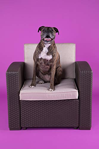 Flash Furniture Chocolate Brown Faux Rattan Chair with All-Weather Beige Cushion