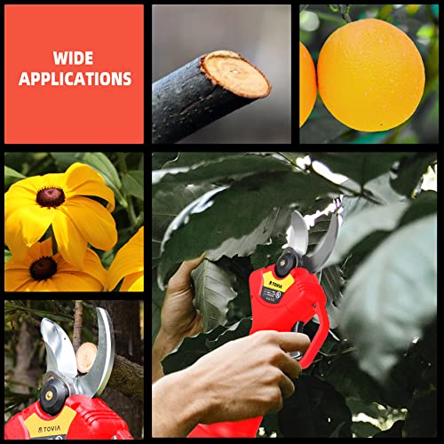 Cordless Pruning Shears, Electric Pruner with 2 Pack 21V Lithium Battery, SK5 Blades, 1.2 Inch Cutting Diameter (21V pruner)