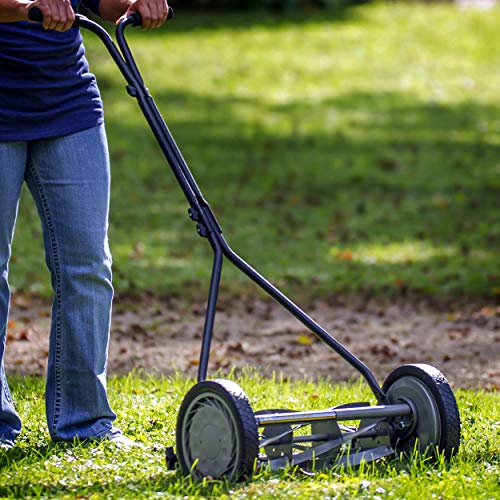 American Lawn Mower Company 1415-16 16-Inch 5-Blade Push Reel Lawn Mower, Gray