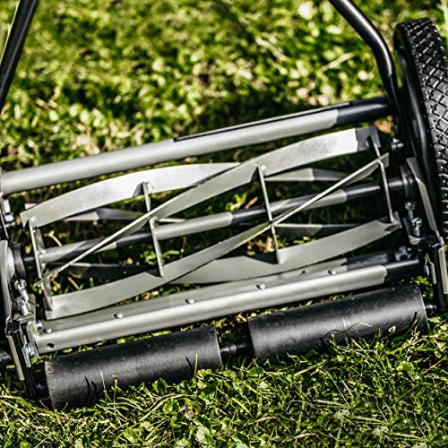 American Lawn Mower Company 1415-16 16-Inch 5-Blade Push Reel Lawn Mower, Gray